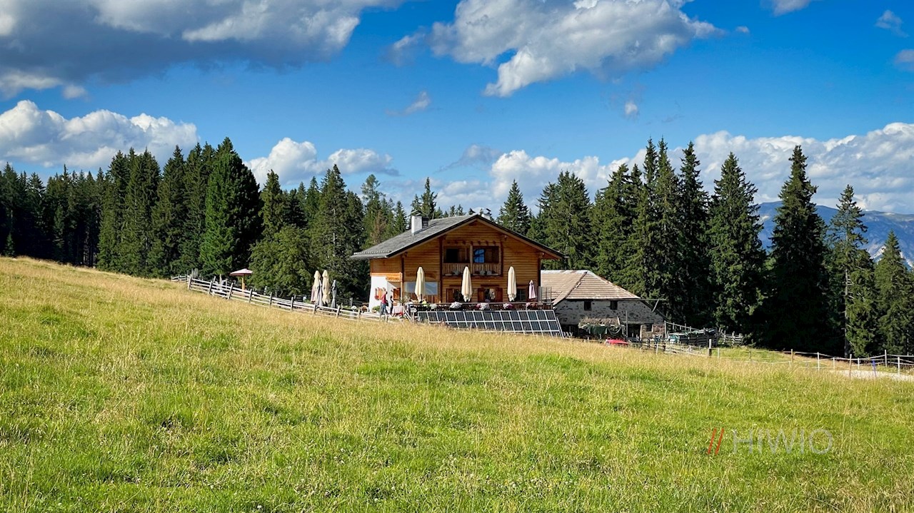 Malga Lieg Alm Passo Lavaz